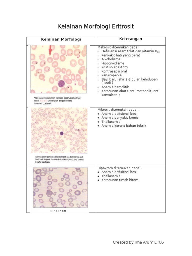Kelainan Morfologi Eritrosit | PDF