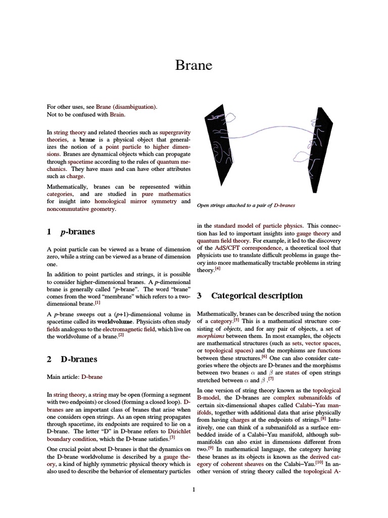 Brane | PDF | Epistemology Of Science | Particle Physics
