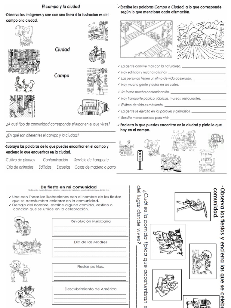 Campo y Ciudad Ejercicios