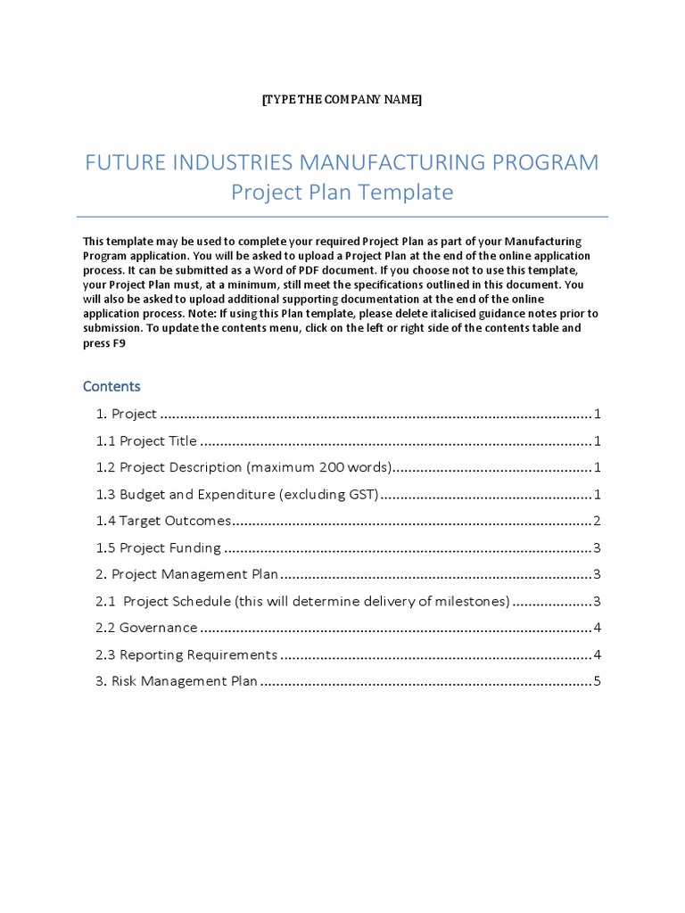 FIMP Project Plan Template | PDF | Risk | Governance
