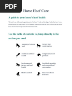 Basic Horse Training | PDF | Equidae | Horses