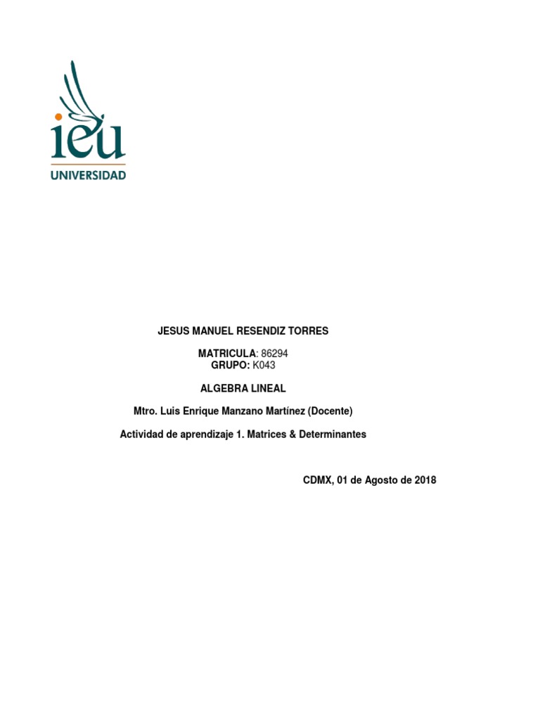 Algebra Lineal IEU | PDF | Linealidad | Ecuaciones Algebra Lineal IEU | PDF | Linealidad | Ecuaciones