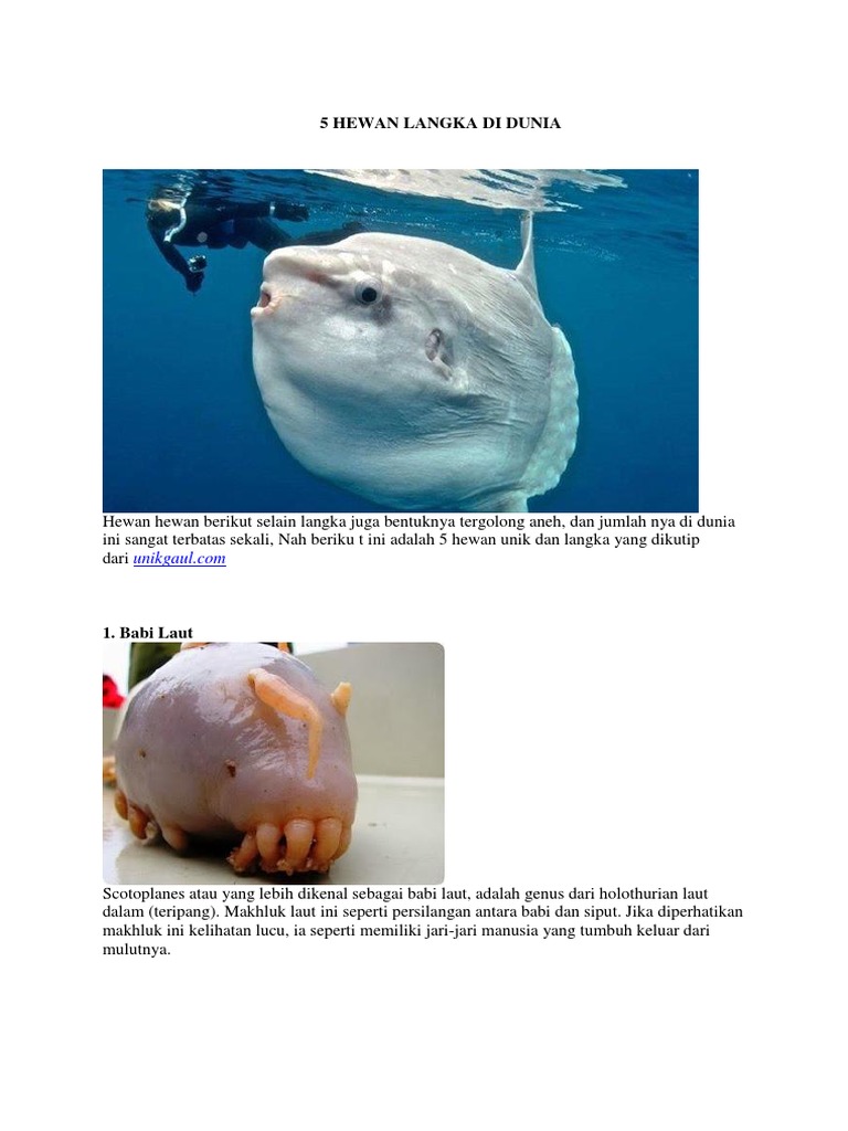 5 Hewan Langka Di Dunia | PDF