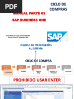 Comandos Rápidos para SAP Business One | PDF | Informática | Software
