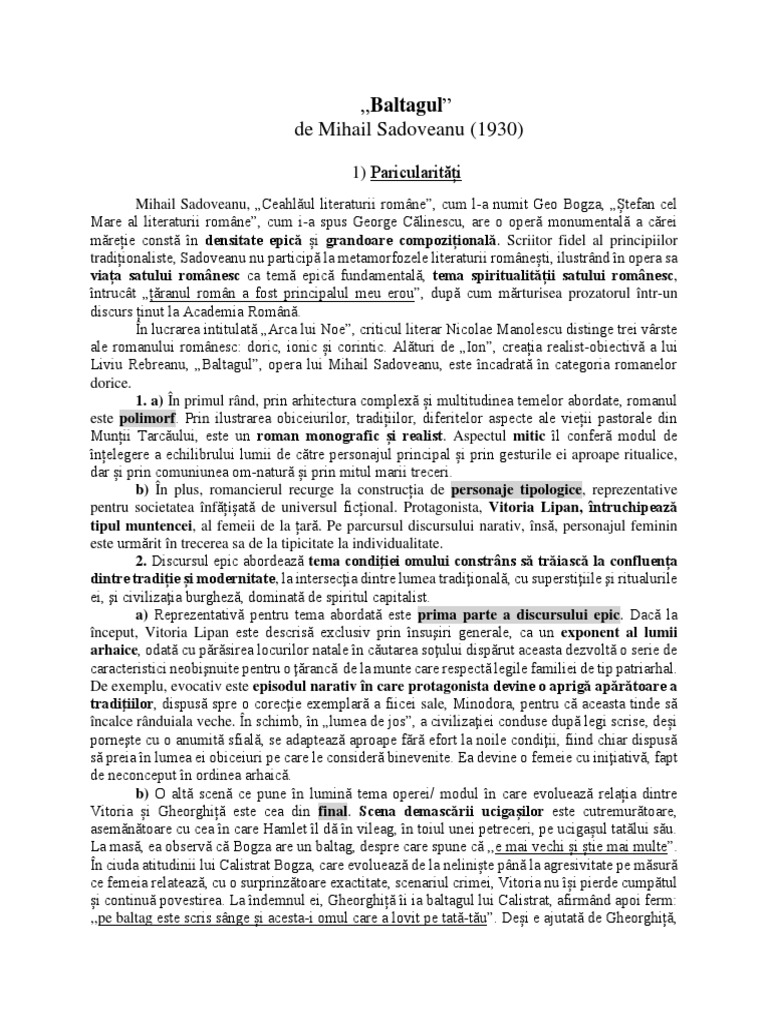 Comentariu Baltagul | PDF