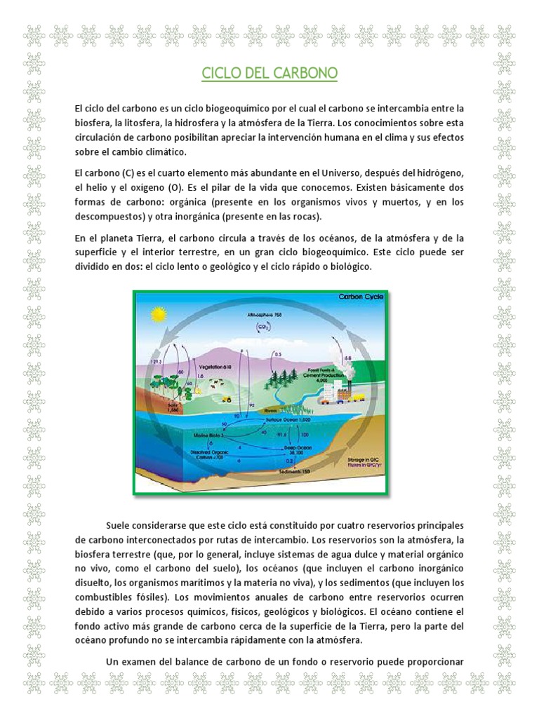 Hoja De Trabajo Sobre El Ciclo Del Carbono Para Niños El Ciclo Del