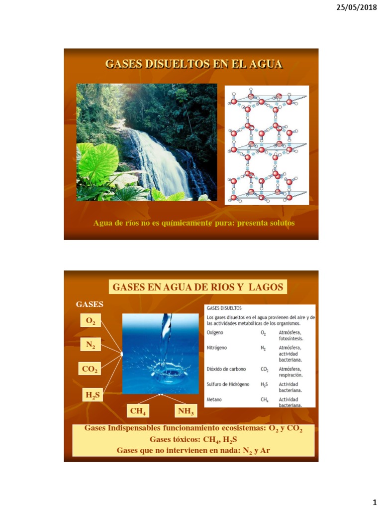 7 Gases Disueltos | PDF | Oxígeno | Agua