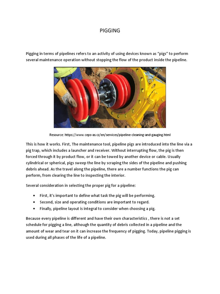 An In-Depth Look at Pipeline Pigging: Types of Pigs, Their Functions ...