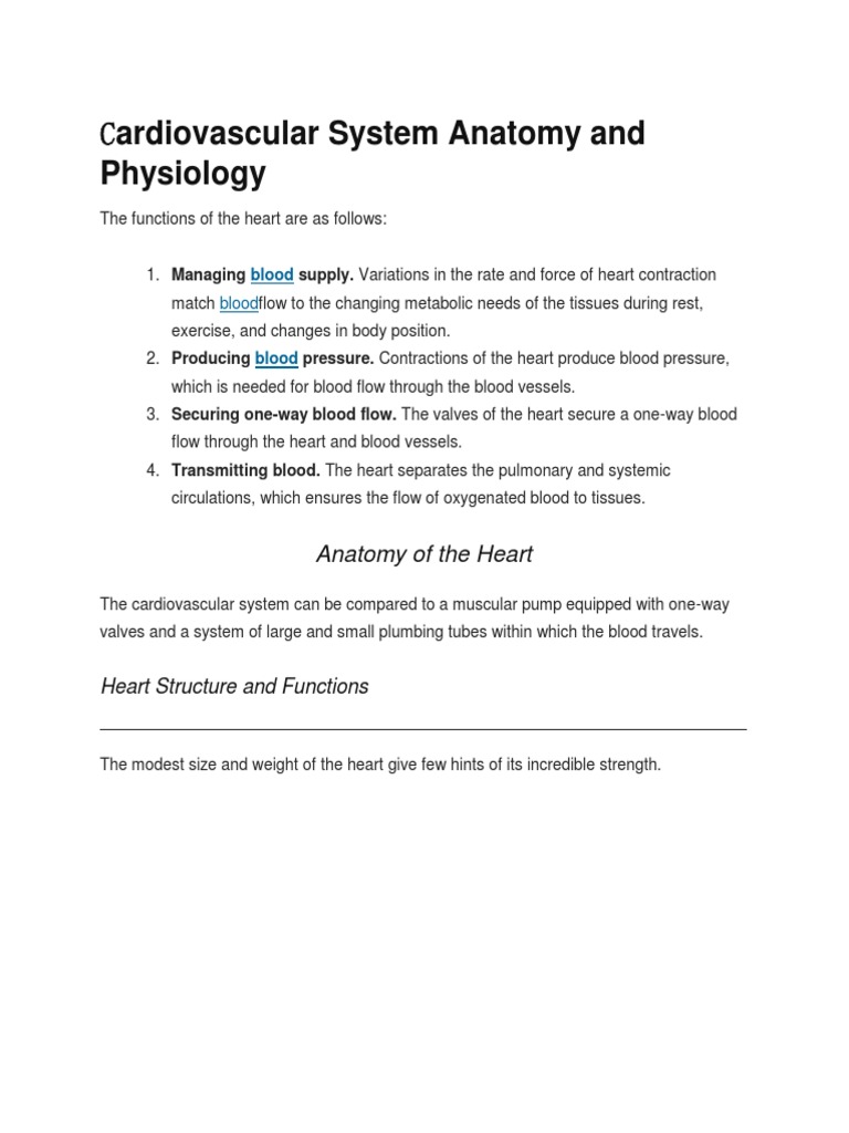 Anatomy of Heart | PDF | Heart Valve | Coronary Circulation