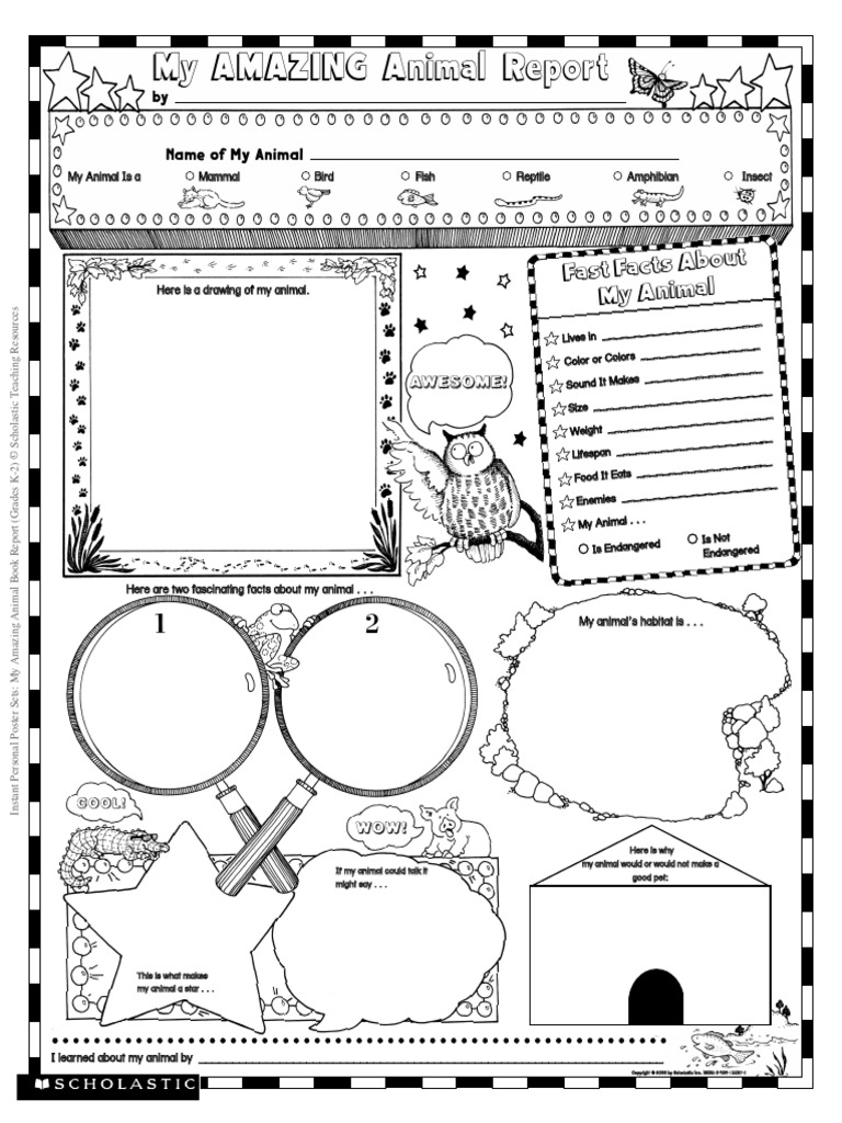 Animal Report Poster & Lesson PDF | PDF