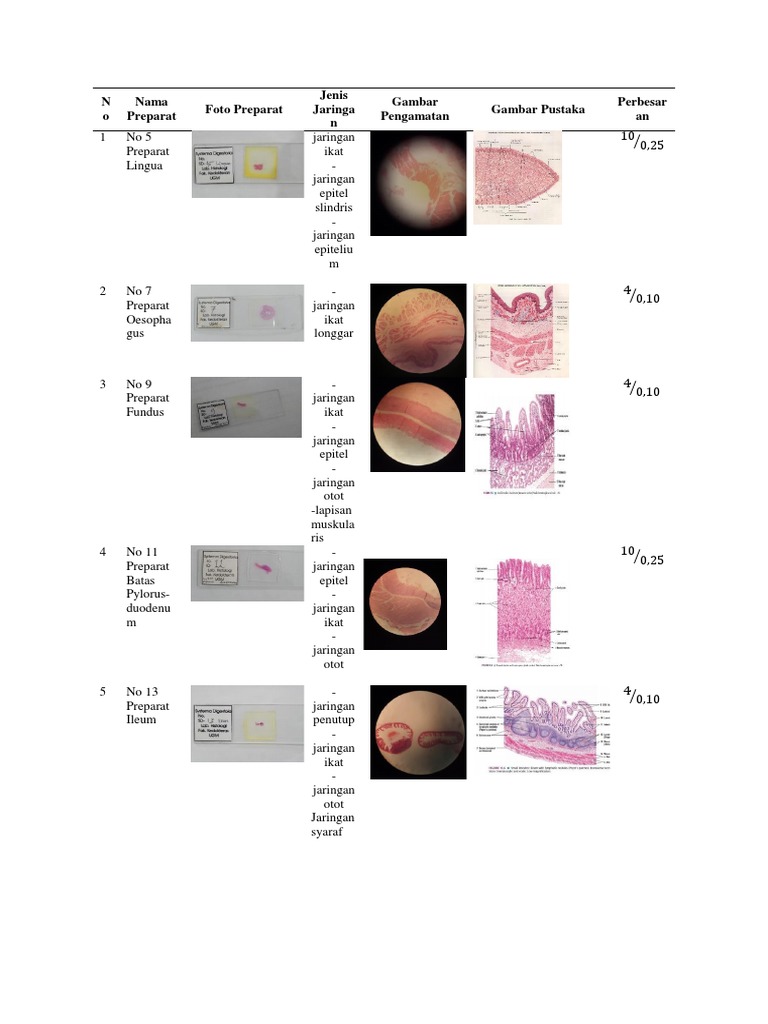 Tabel Preparat | PDF