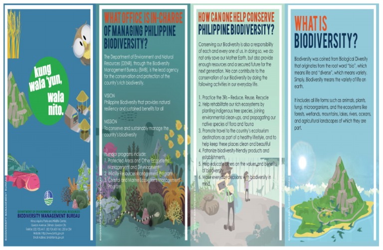 Biodiversity Flyers | PDF
