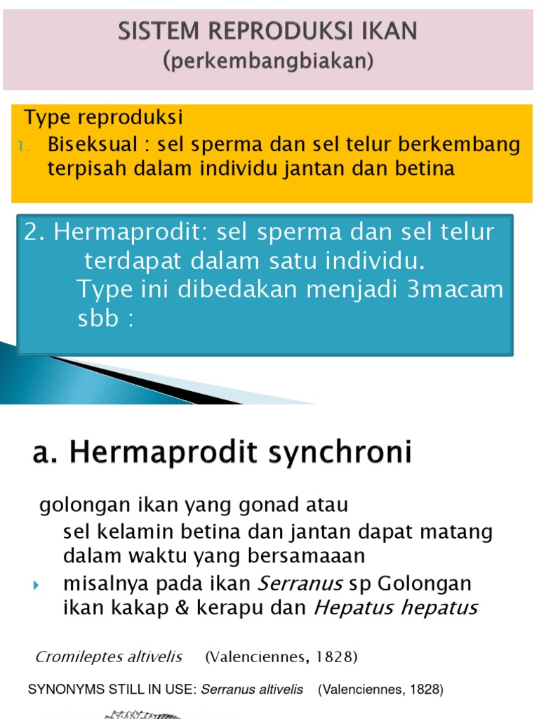 Sistem Reproduksi Ikan | PDF