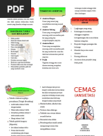 Leaflet Cemas | PDF