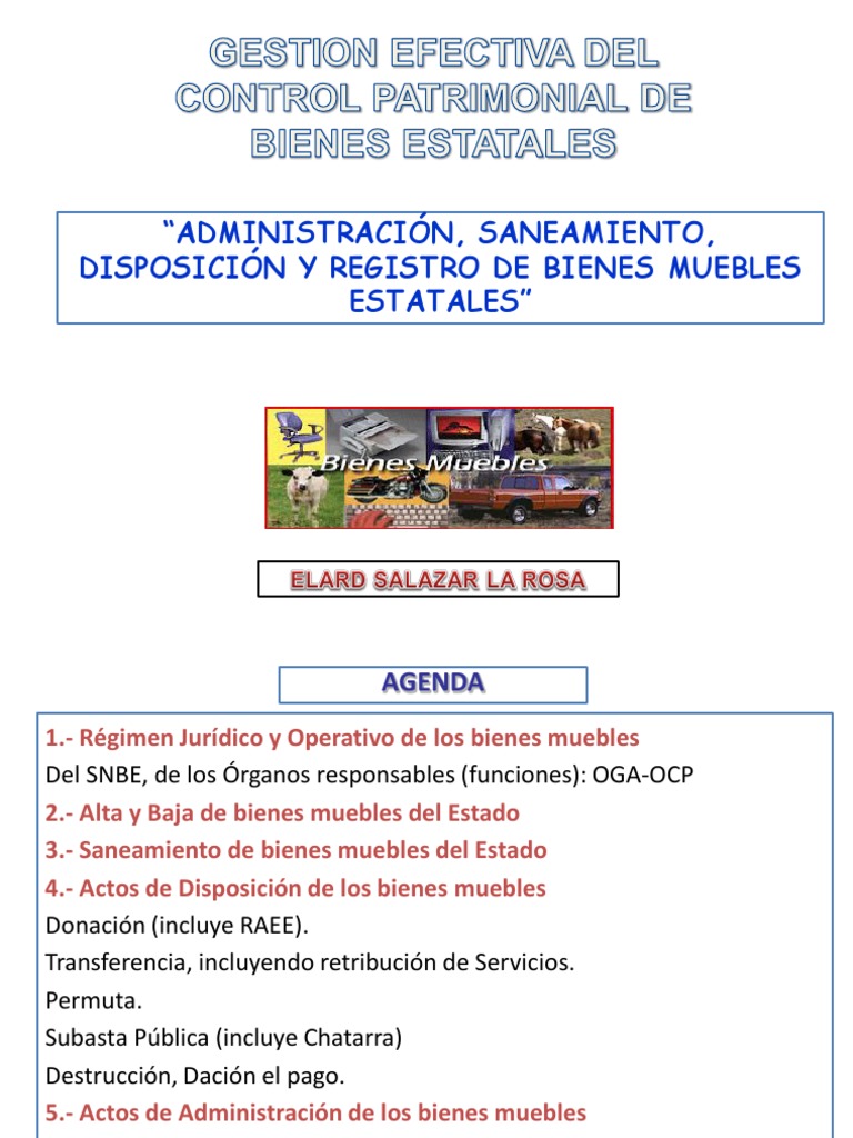 Gestión Patrimonial Del Control Patrimonial de Bienes Estatales | PDF ...