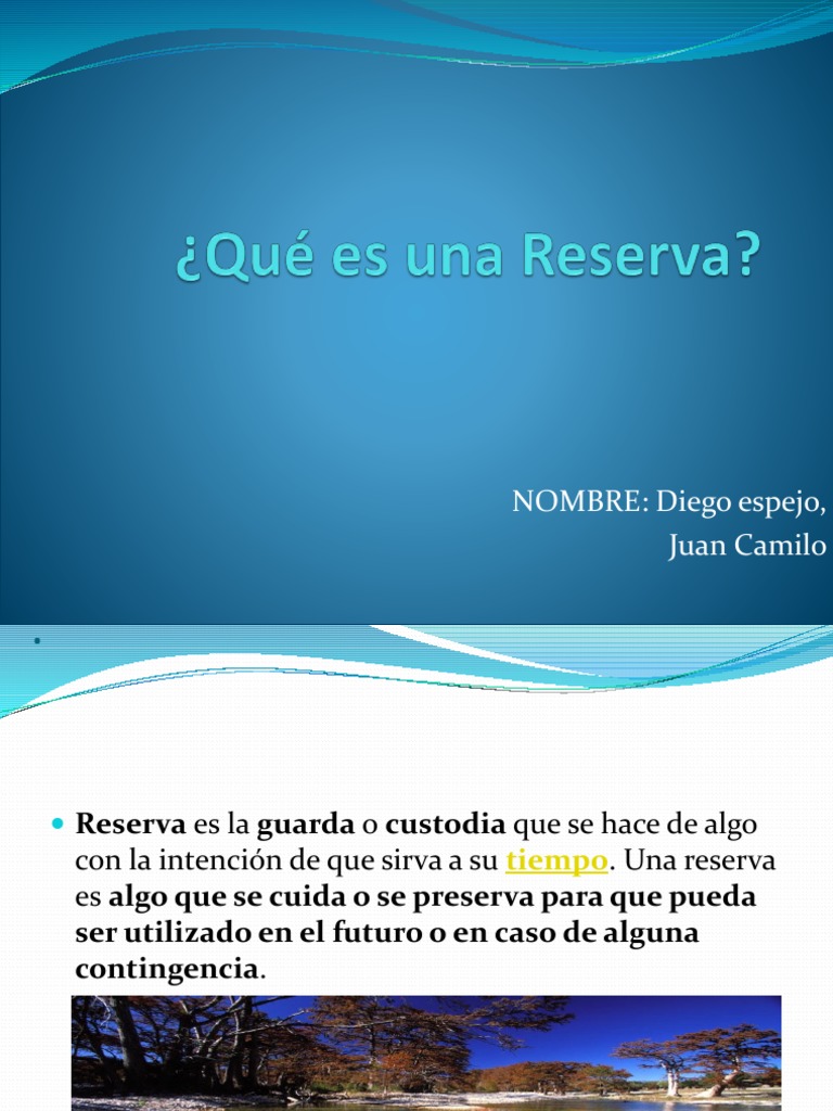 Qué Es Una Reserva | PDF