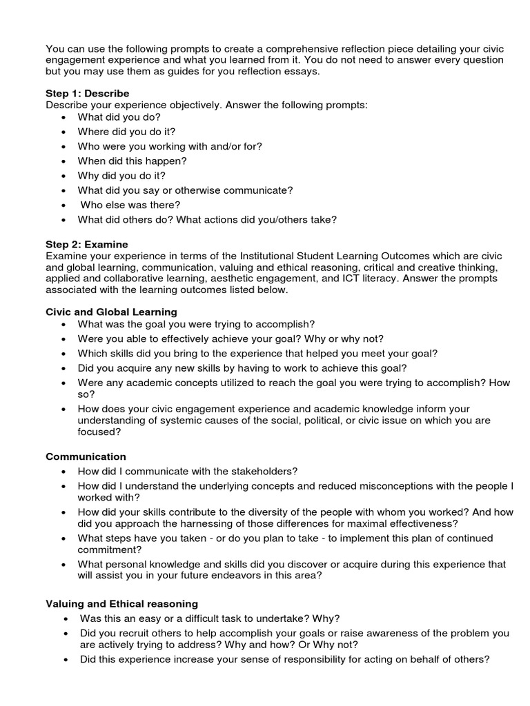 Step 1: Describe | Download Free PDF | Civic Engagement | Goal