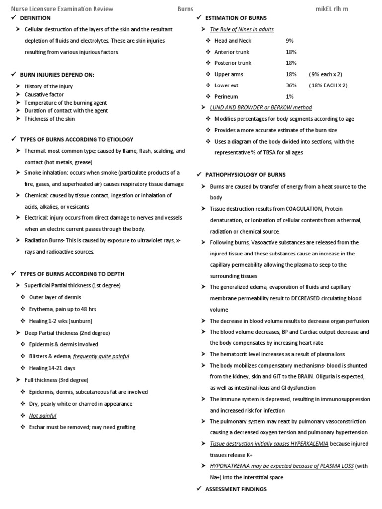 Integumentary System Review - Burns | PDF | Burn | Wound