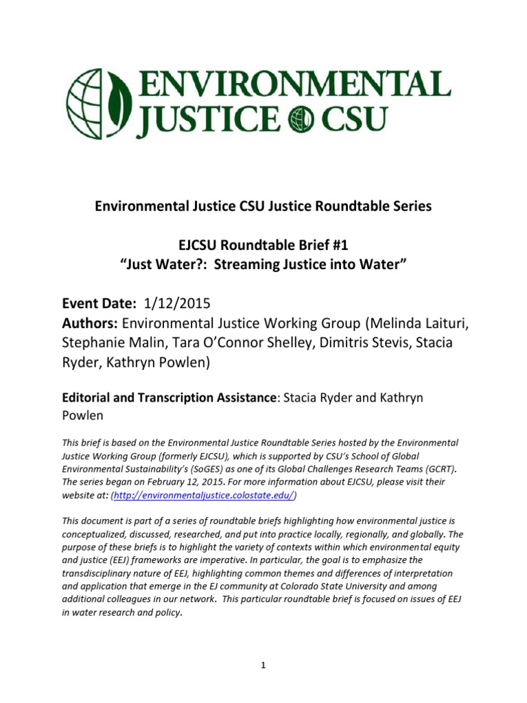 01 - Water Justice RT Brief | PDF | Drinking Water | Sustainability