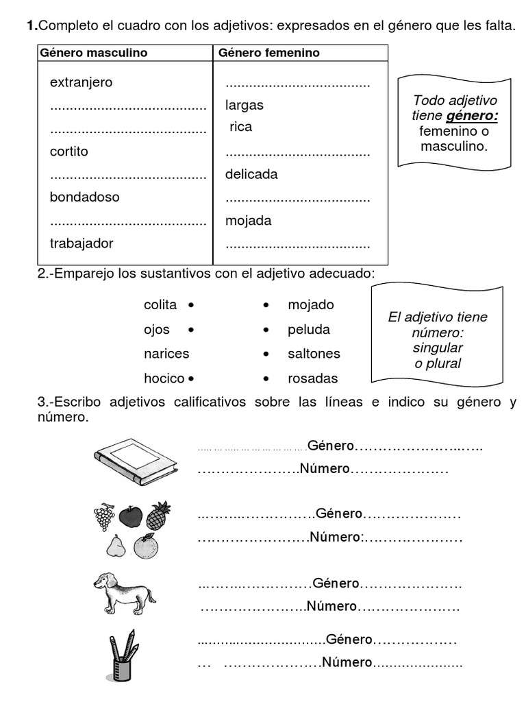Adjetivos Practica | PDF | Adjetivo | Género gramatical