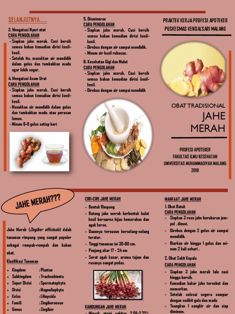 Leaflet Jahe Merah | PDF