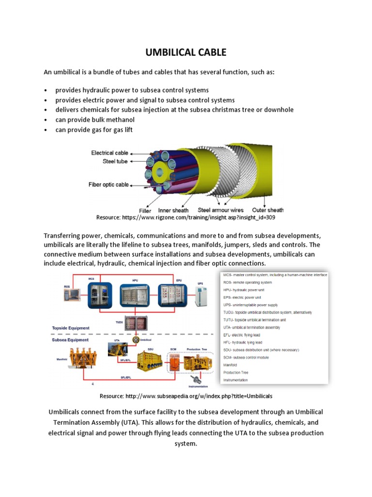 Umbilical Tube | PDF