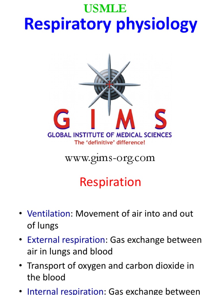 Respiratory Physio Usmle | PDF | Lung | Respiratory System