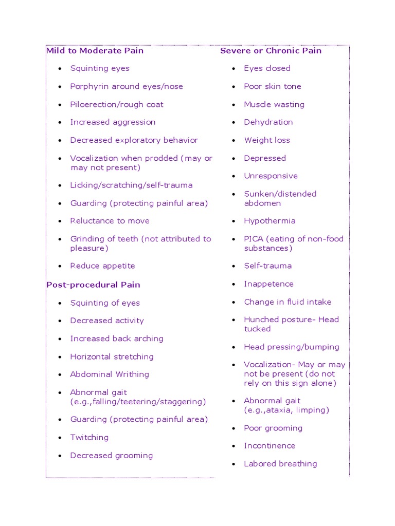 Rat Pain Symptoms | PDF | Pain | Clinical Medicine
