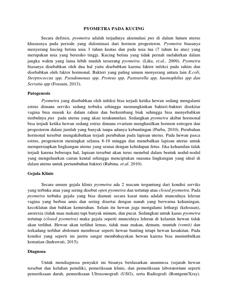 Pyometra Pada Kucing | PDF