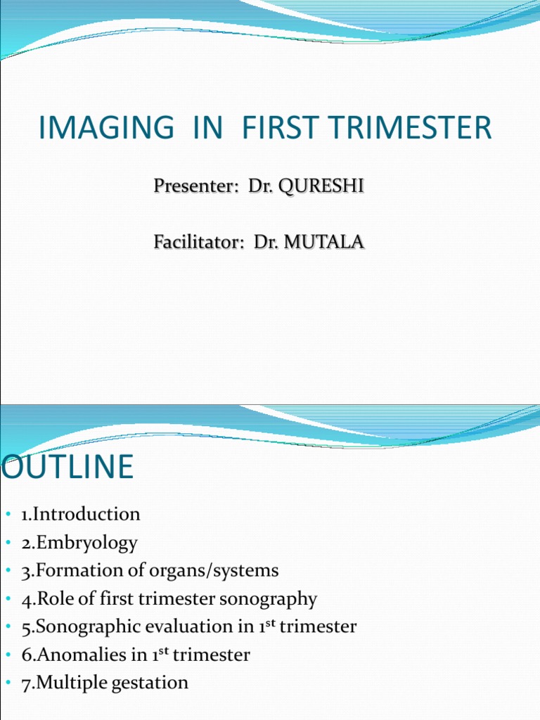 1st Trimester Imaging | PDF | Miscarriage | Twin