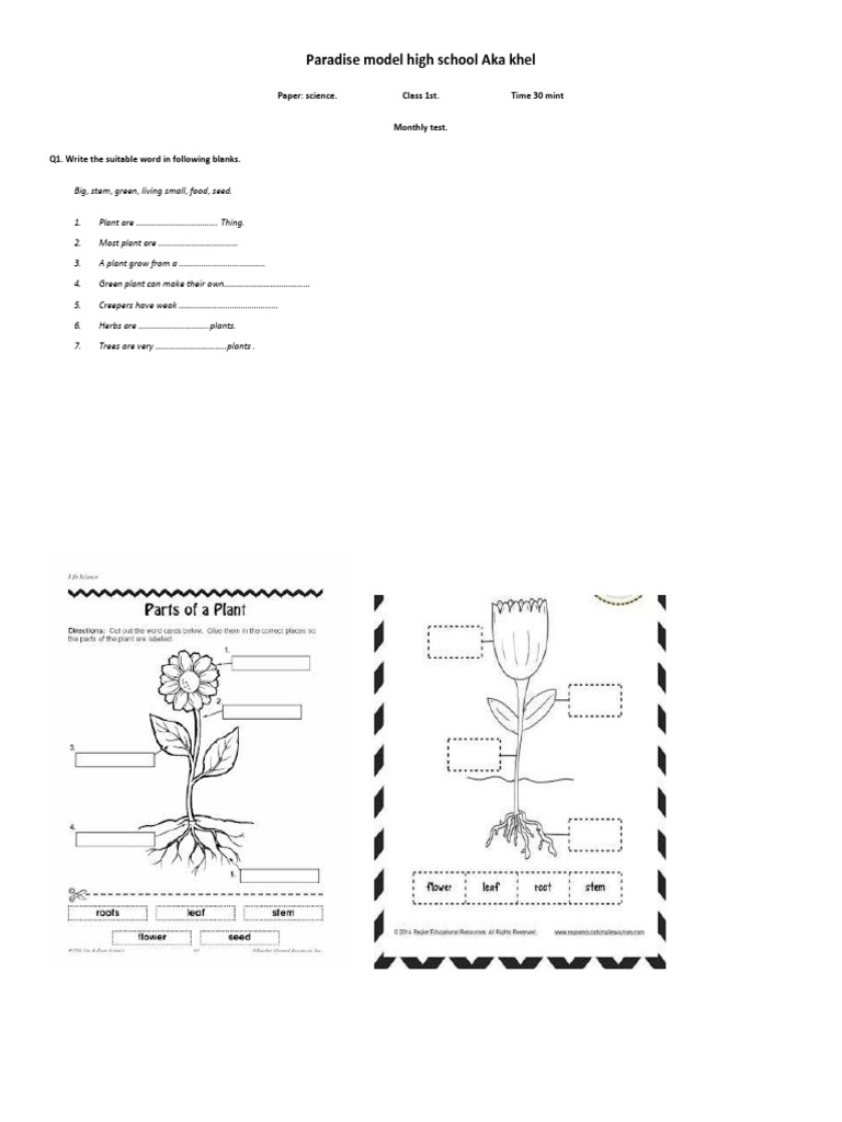 Class 1st Science | PDF
