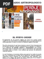 Funciones del Peritaje Antropológico | PDF | Antropología | Conocimiento