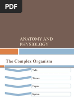 Completed Upper Extremity Rom Norms Sheet 1 | PDF | Anatomical Terms Of ...