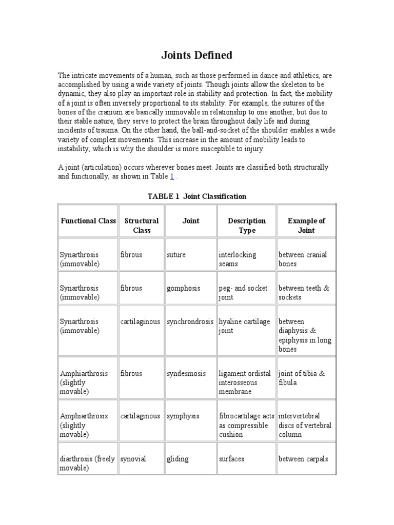 Understanding Joint Classifications | PDF | Joint | Cartilage