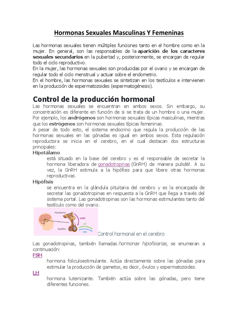 Hormonas Sexuales Masculinas Y Femeninas | PDF | Ciclo menstrual | Hormona luteinizante