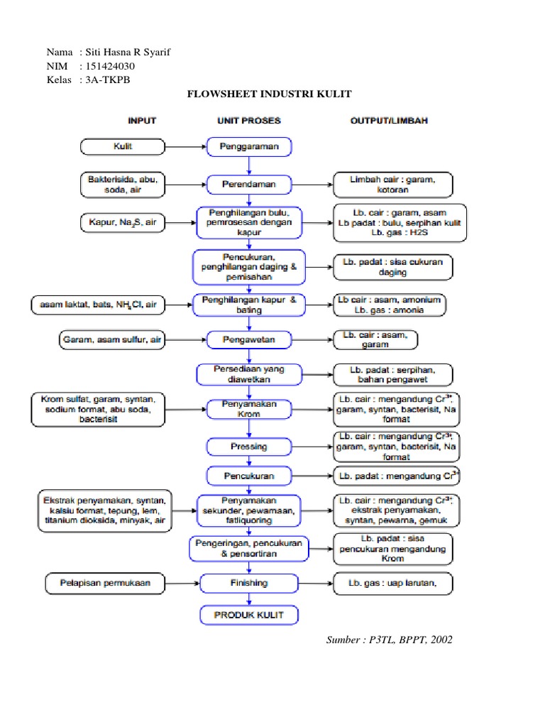 Flowsheet Industri Kulit | PDF