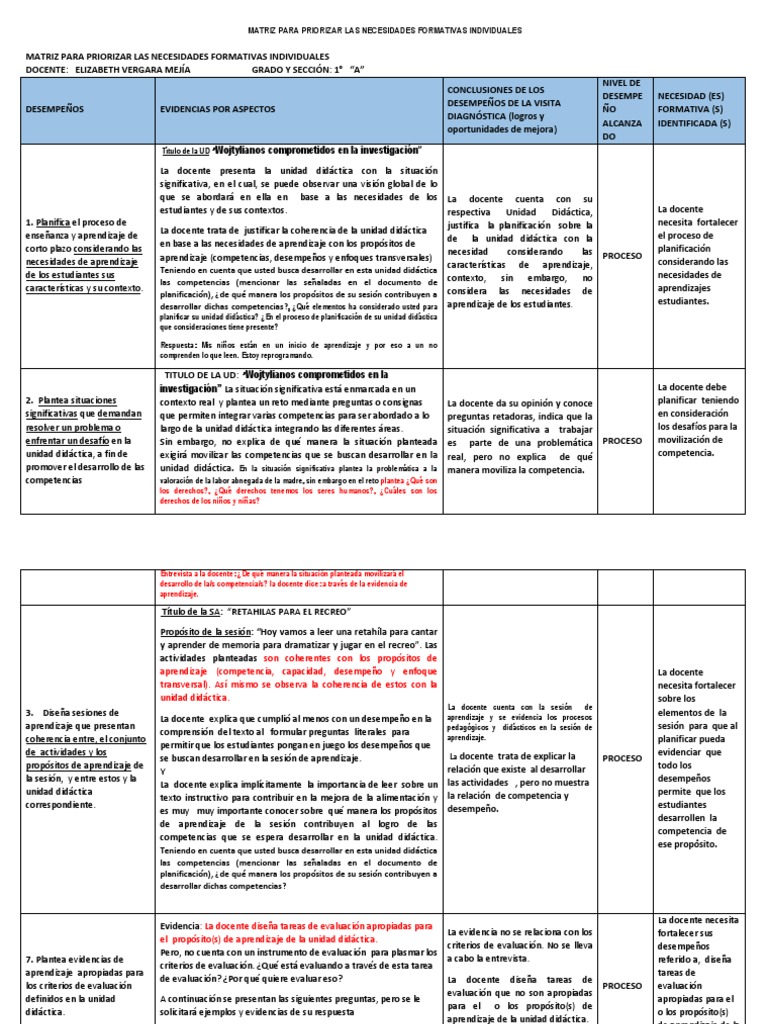 Matriz para Priorizar Las Necesidades | Evaluación | Creatividad