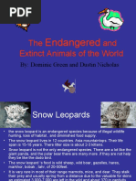 Endangered Animals Quiz | PDF