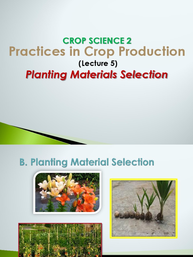 Selection and Preparation of Planting Materials for Crop Production ...