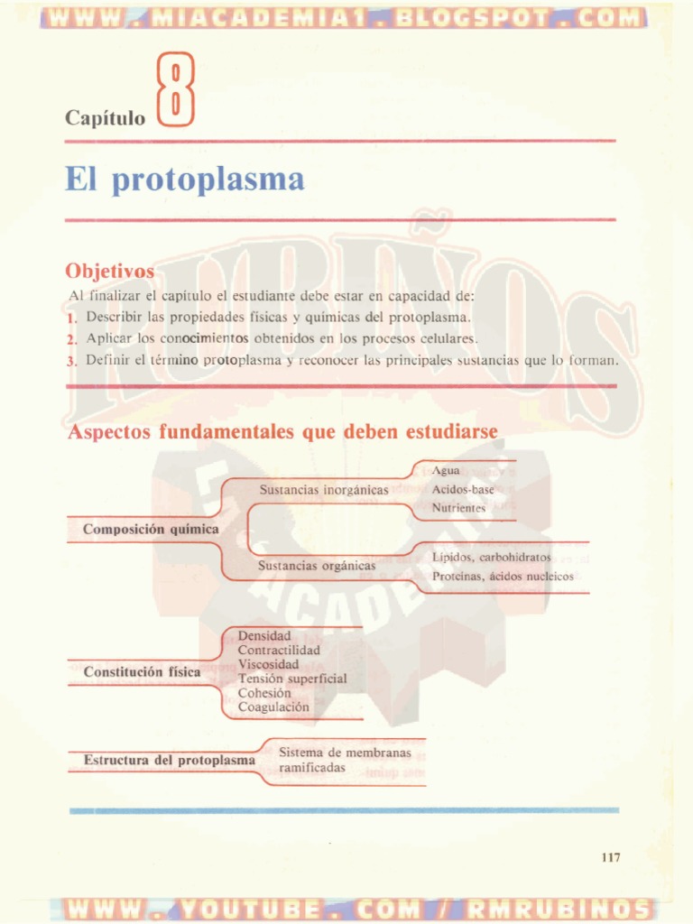 El Protoplasma PDF | PDF