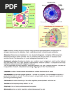 The Parable of Division | PDF | Cooking, Food & Wine | Wellness