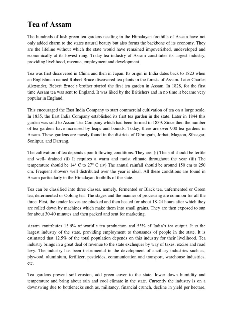 Tea of Assam | PDF | South India | Tea