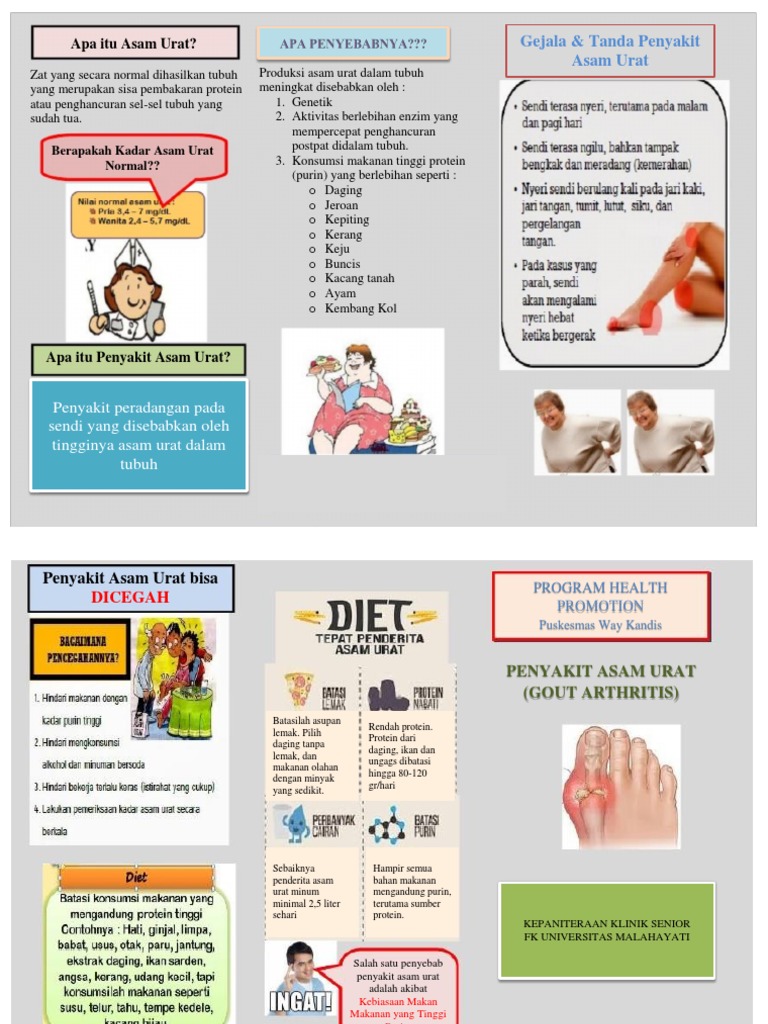 Leaflet Asam Urat | PDF