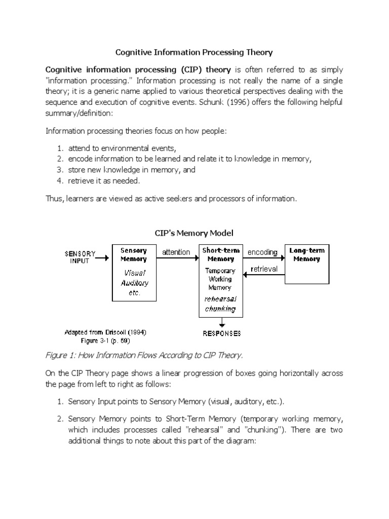 Cognitive Information Processing Theory Explained | PDF | Memory ...