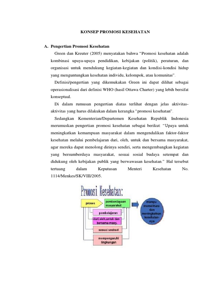 Materi Promkes | PDF