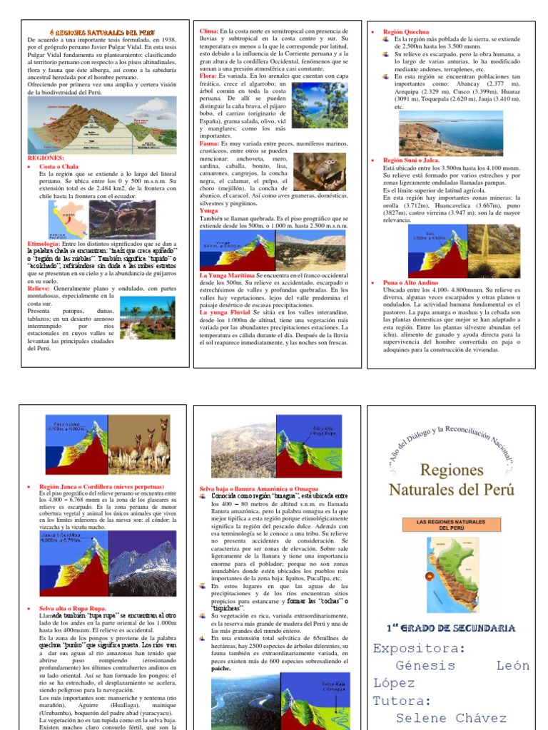 8 Regiones Naturales Del Peru | Perú | Ciencias de la tierra y de la vida