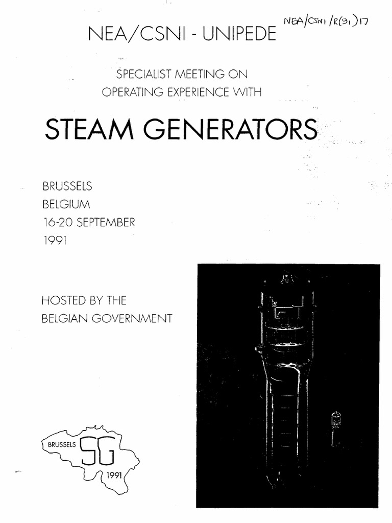 Steam Generators | PDF | Nuclear Reactor | Nuclear Power
