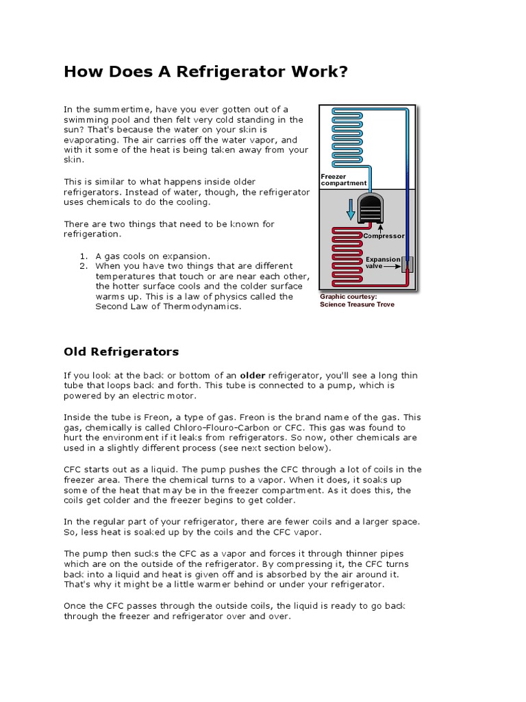 How Does A Refrigerator Work | PDF | Refrigerator | Refrigeration
