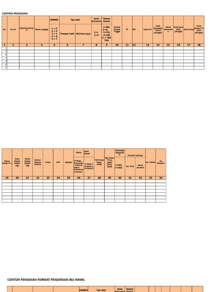 Contoh Format Rekapan Pasien | PDF