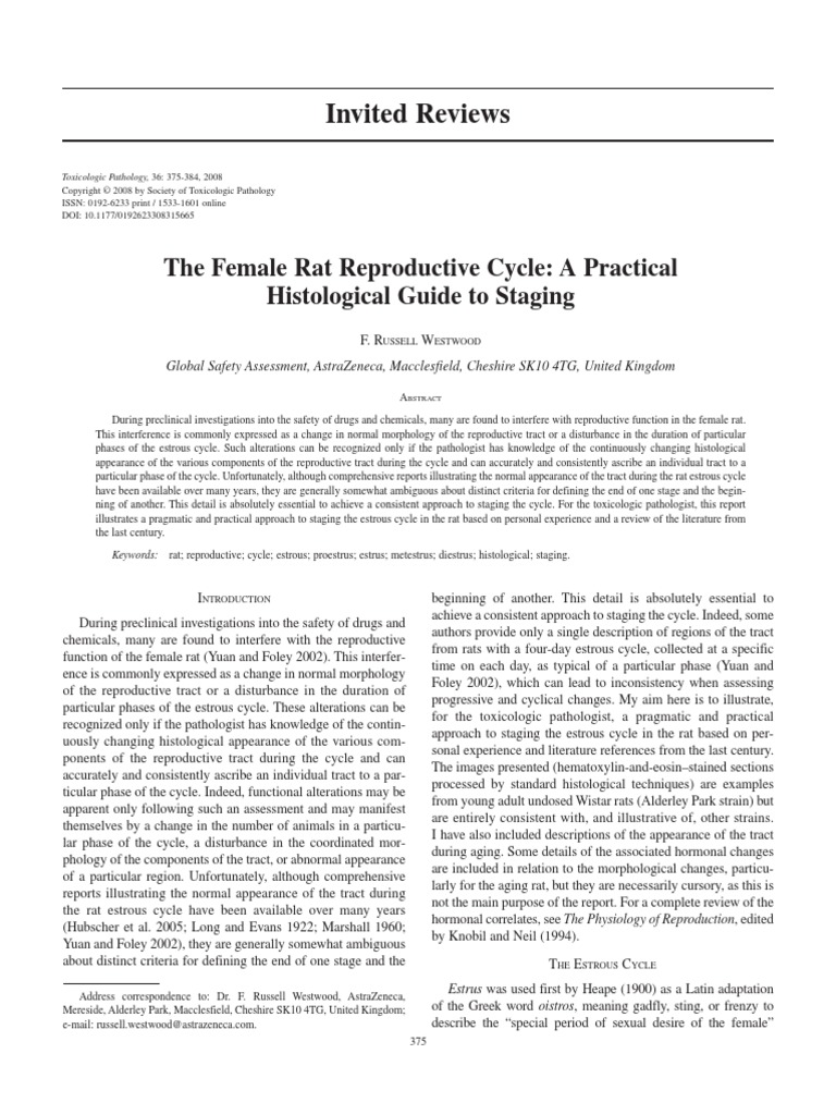Female Rat Reproductive Cycle PDF | PDF | Ovary | Epithelium
